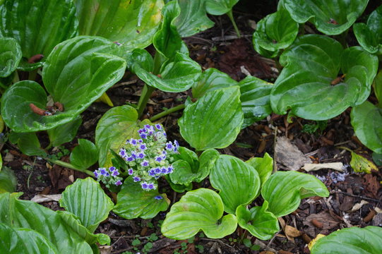 Kopakopa Images – Browse 3 Stock Photos, Vectors, and Video | Adobe Stock