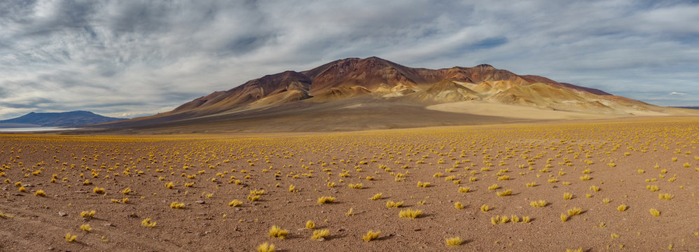 「Pacana」の画像 - 139 件の Stock 写真、ベクターおよびビデオ | Adobe Stock