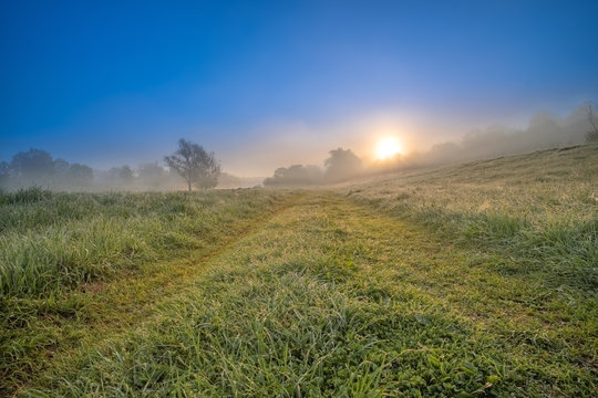 "Against The Background" Images – Browse 1,375 Stock Photos, Vectors ...