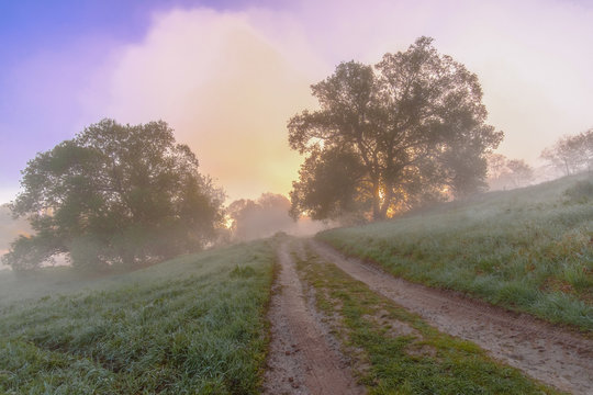 "Against The Background" Images – Browse 1,375 Stock Photos, Vectors ...