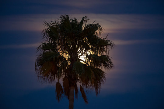 Imágenes de Luar: descubre bancos de fotos, ilustraciones, vectores y ...