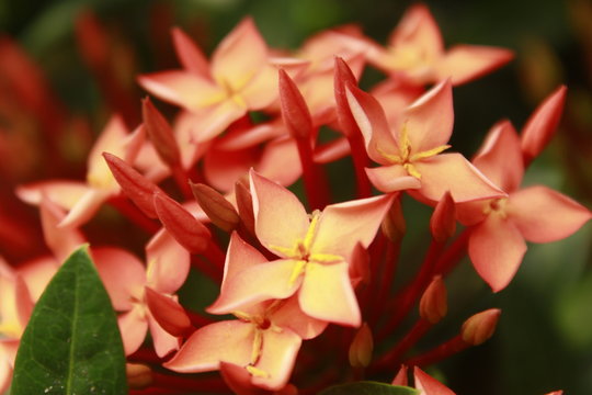 รูปภาพViruchi – เลือกดูภาพถ่ายสต็อก เวกเตอร์ และวิดีโอ191 | Adobe Stock