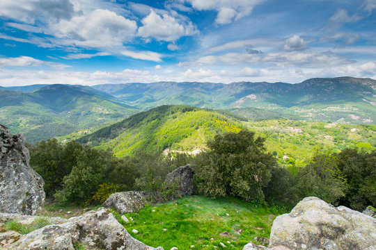 รูปภาพBrison – เลือกดูภาพถ่ายสต็อก เวกเตอร์ และวิดีโอ99 | Adobe Stock