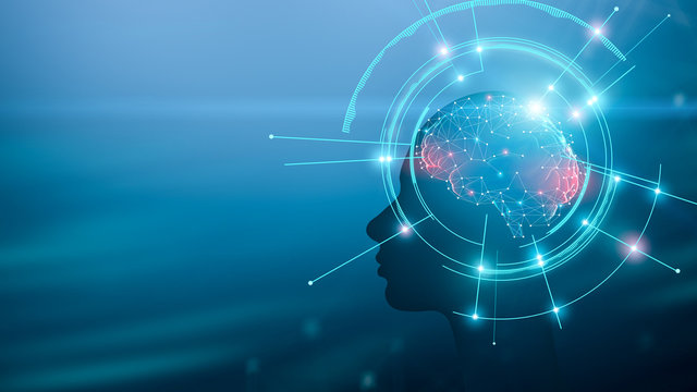 Free Brain Images – Browse 6,361 Free Stock Photos, Vectors, and Video ...