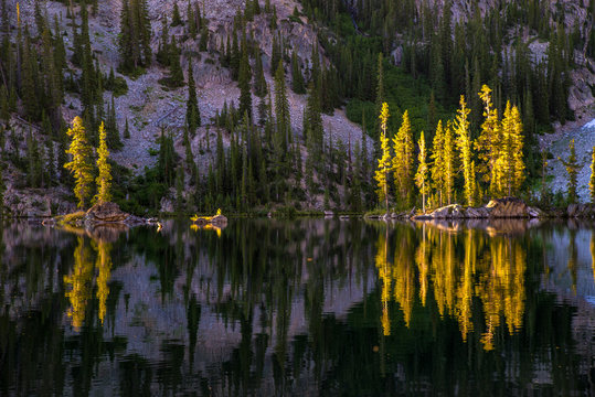 kirk photos, images, assets | Adobe Stock