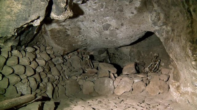 Coquesa Bilder – Durchsuchen 27 Archivfotos, Vektorgrafiken und Videos ...