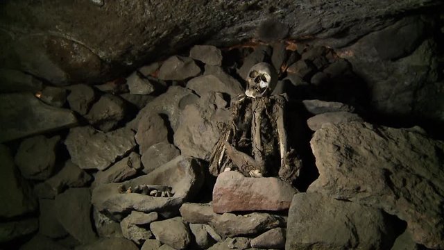 Coquesa Bilder – Durchsuchen 27 Archivfotos, Vektorgrafiken und Videos ...