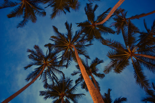 Seem Images – Parcourir 179,516 le catalogue de photos, vecteurs et ...