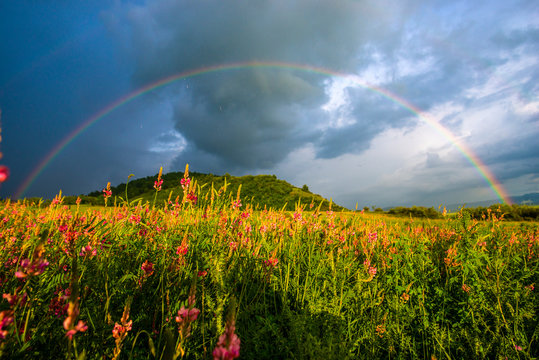 รูปภาพUnpredictable – เลือกดูภาพถ่ายสต็อก เวกเตอร์ และวิดีโอ10,167 ...