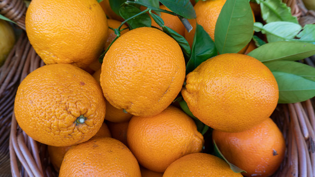 Arancie Immagini - Sfoglia 228 foto, vettoriali e video Stock | Adobe Stock