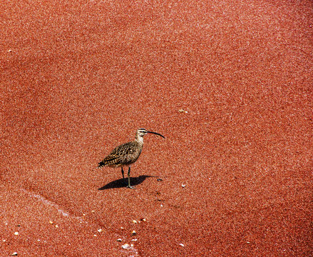 รูปภาพHanting – เลือกดูภาพถ่ายสต็อก เวกเตอร์ และวิดีโอ159 | Adobe Stock