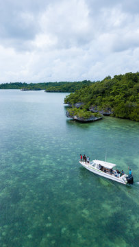 Tomium Images – Browse 32 Stock Photos, Vectors, and Video | Adobe Stock