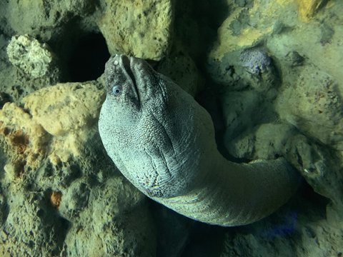 NEJLEPŠÍ (CELKEM 918) OBRÁZKY, FOTKY A VEKTOROVÉ GRAFIKY VE SLUŽBĚ ...