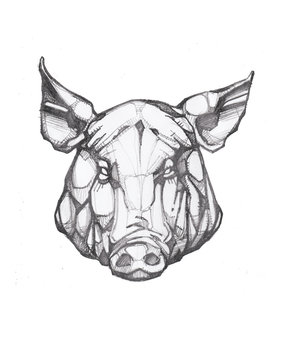 Pig Head On A Stick
