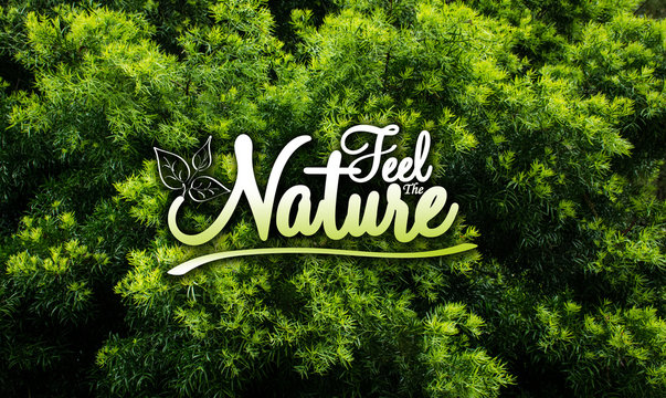 "Feel The Nature" Images – Browse 73 Stock Photos, Vectors, and Video ...