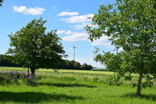 Winrad Bilder – Durchsuchen 62 Archivfotos, Vektorgrafiken und Videos ...