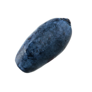 Kinnip Bilder – Durchsuchen 3,314 Archivfotos, Vektorgrafiken und ...