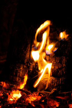 รูปภาพPyromanie – เลือกดูภาพถ่ายสต็อก เวกเตอร์ และวิดีโอ121 | Adobe Stock