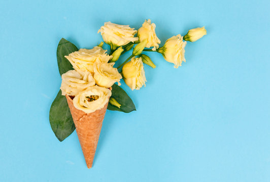 tinnko 写真、画像、アセット | Adobe Stock