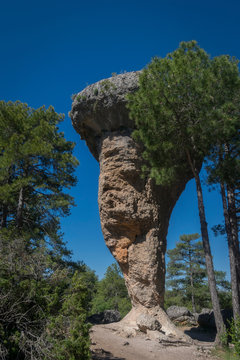 「Calcareo」の写真素材 | 158件の無料イラスト画像 | Adobe Stock