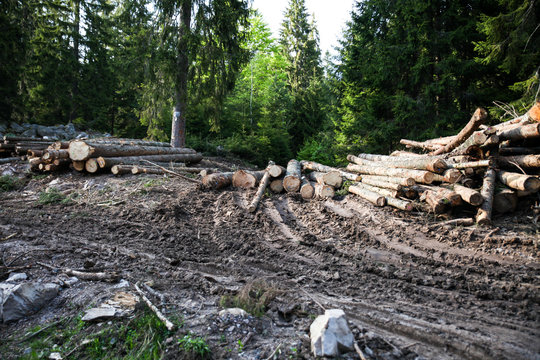 Baulk Images – Parcourir 82,964 le catalogue de photos, vecteurs et ...