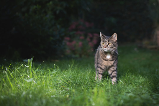 478,504 BÄSTA BILDERNA, STOCKFOTONA OCH VEKTORBILDERNA MED ...