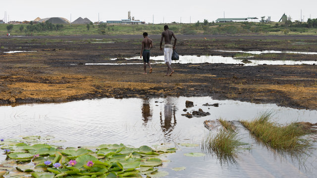 "Pitch Lake" Images – Browse 56 Stock Photos, Vectors, and Video ...