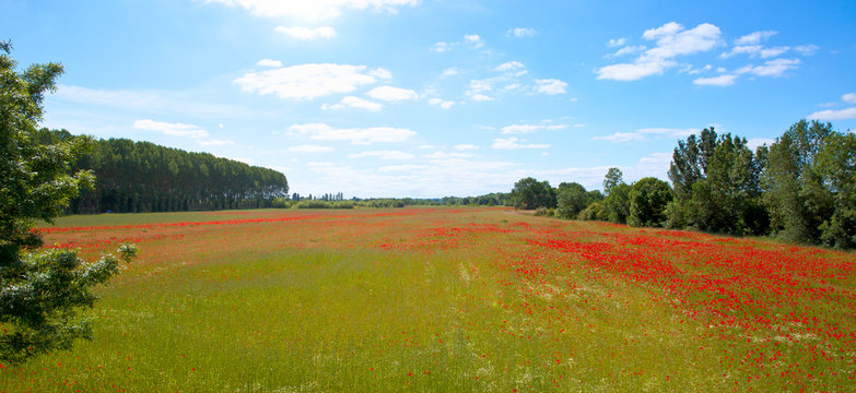 Bocage Images – Browse 45 Stock Photos, Vectors, and Video | Adobe Stock