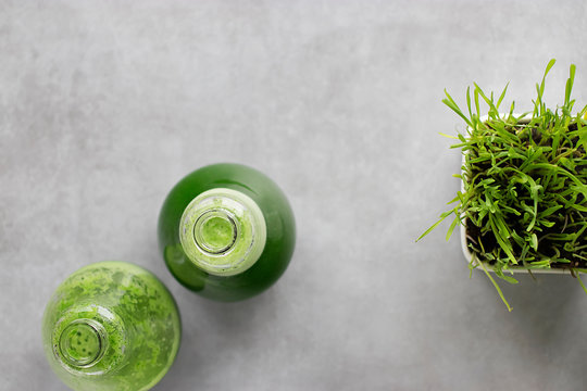 Vitgrass Images – Browse 58 Stock Photos, Vectors, and Video | Adobe Stock