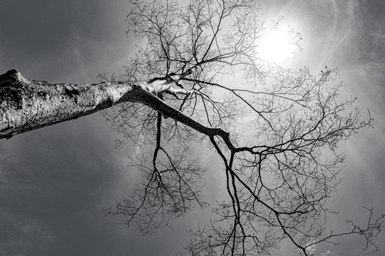 "Monotone Background" Images – Browse 351 Stock Photos, Vectors, and ...