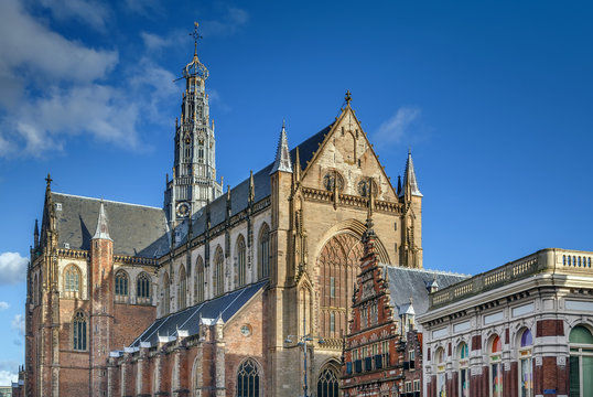 Bavo - Images et vidéos libres de droits | Adobe Stock