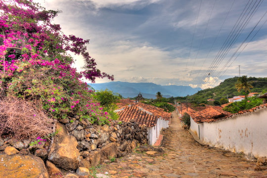 「Guane」の写真素材 | 333件の無料イラスト画像 | Adobe Stock
