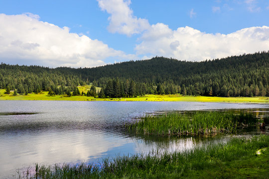 Cankurtaran Images – Browse 37 Stock Photos, Vectors, and Video | Adobe ...