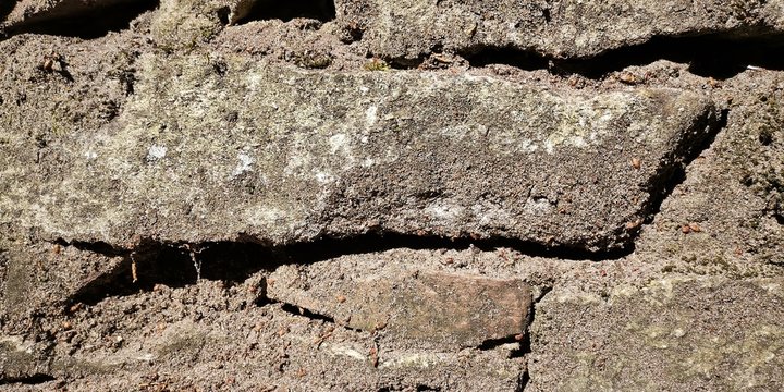 Ptr Bilder – Durchsuchen 202 Archivfotos, Vektorgrafiken und Videos ...