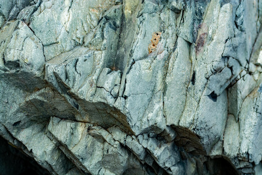 Listvenite Images – Browse 63 Stock Photos, Vectors, and Video | Adobe ...