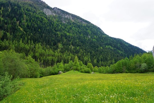 รูปภาพGrass-Field – เลือกดูภาพถ่ายสต็อก เวกเตอร์ และวิดีโอ196 | Adobe Stock