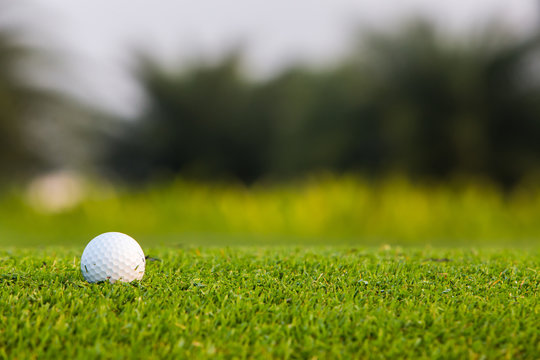 Free Golf Images – Browse 2,295 Free Stock Photos, Vectors, and Video ...