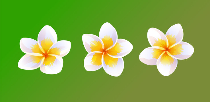 Sacuanjoche Images – Parcourir 107,649 le catalogue de photos, vecteurs ...