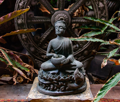 Upagupta Images – Browse 41 Stock Photos, Vectors, and Video | Adobe Stock