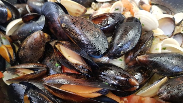 รูปภาพMytilus – เลือกดูภาพถ่ายสต็อก เวกเตอร์ และวิดีโอ5,121 | Adobe Stock