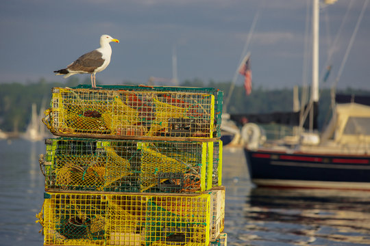 "Lobster Trap" Images – Browse 5,761 Stock Photos, Vectors, and Video ...