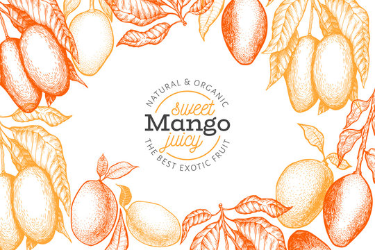 Mango Line Drawing Images – Browse 7,065 Stock Photos, Vectors, and ...