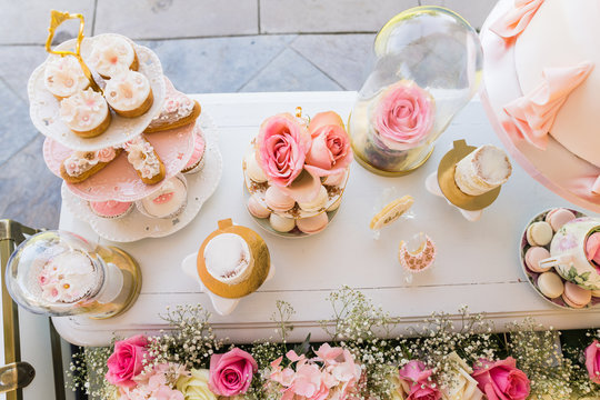 Rose Theme Images – Browse 351 Stock Photos, Vectors, and Video | Adobe ...