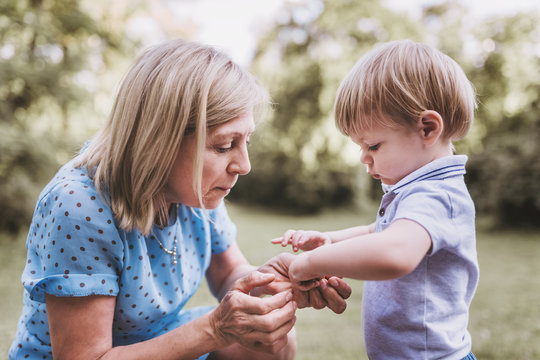 Mormor bilder – Bläddra bland 978,456 stockfoton, vektorer och videor ...