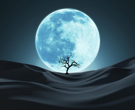 Midnight Blue Moon Images – Browse 33,158 Stock Photos, Vectors, and ...
