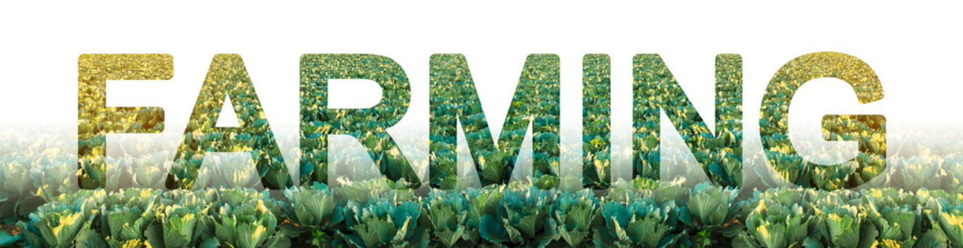 Agro-Industry Images – Browse 1,040 Stock Photos, Vectors, and Video ...