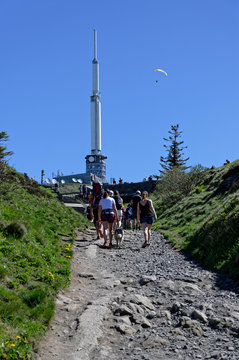 Muletier Images – Browse 60 Stock Photos, Vectors, and Video | Adobe Stock