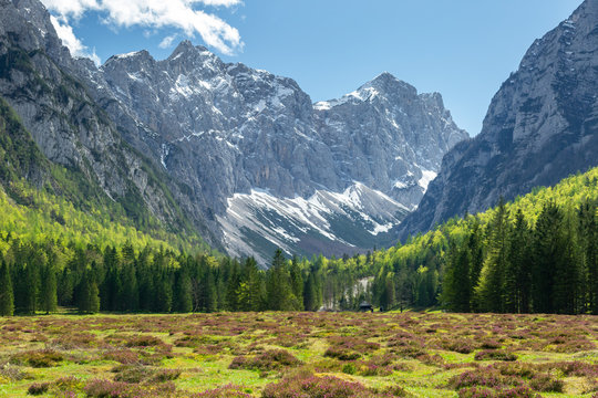 Resa Bilder – Durchsuchen 382 Archivfotos, Vektorgrafiken und Videos ...