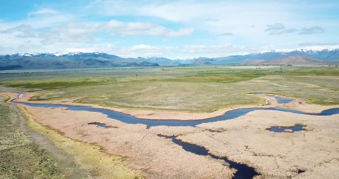 Challi Bilder – Durchsuchen 295 Archivfotos, Vektorgrafiken und Videos ...