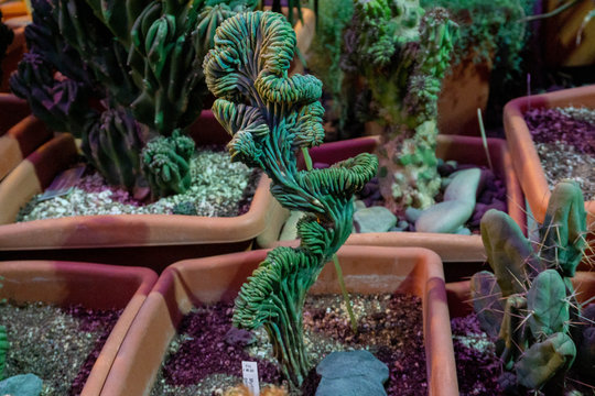 Intersting 이미지 – 찾아보기 478 스톡 사진, 벡터 및 비디오 | Adobe Stock